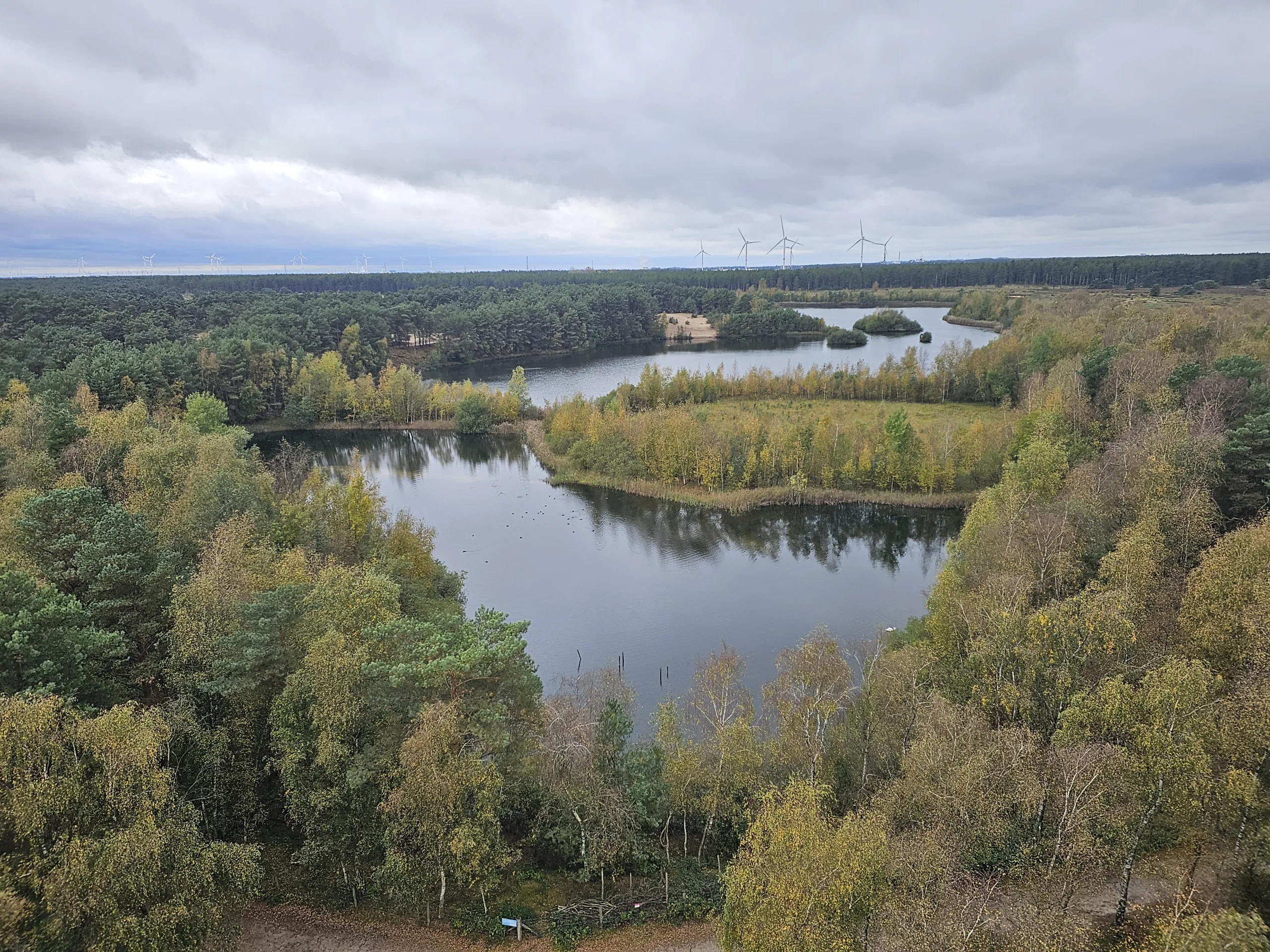 Lommelse Sahara | Uitzicht vanuit de uitkijktoren is prachtig!
